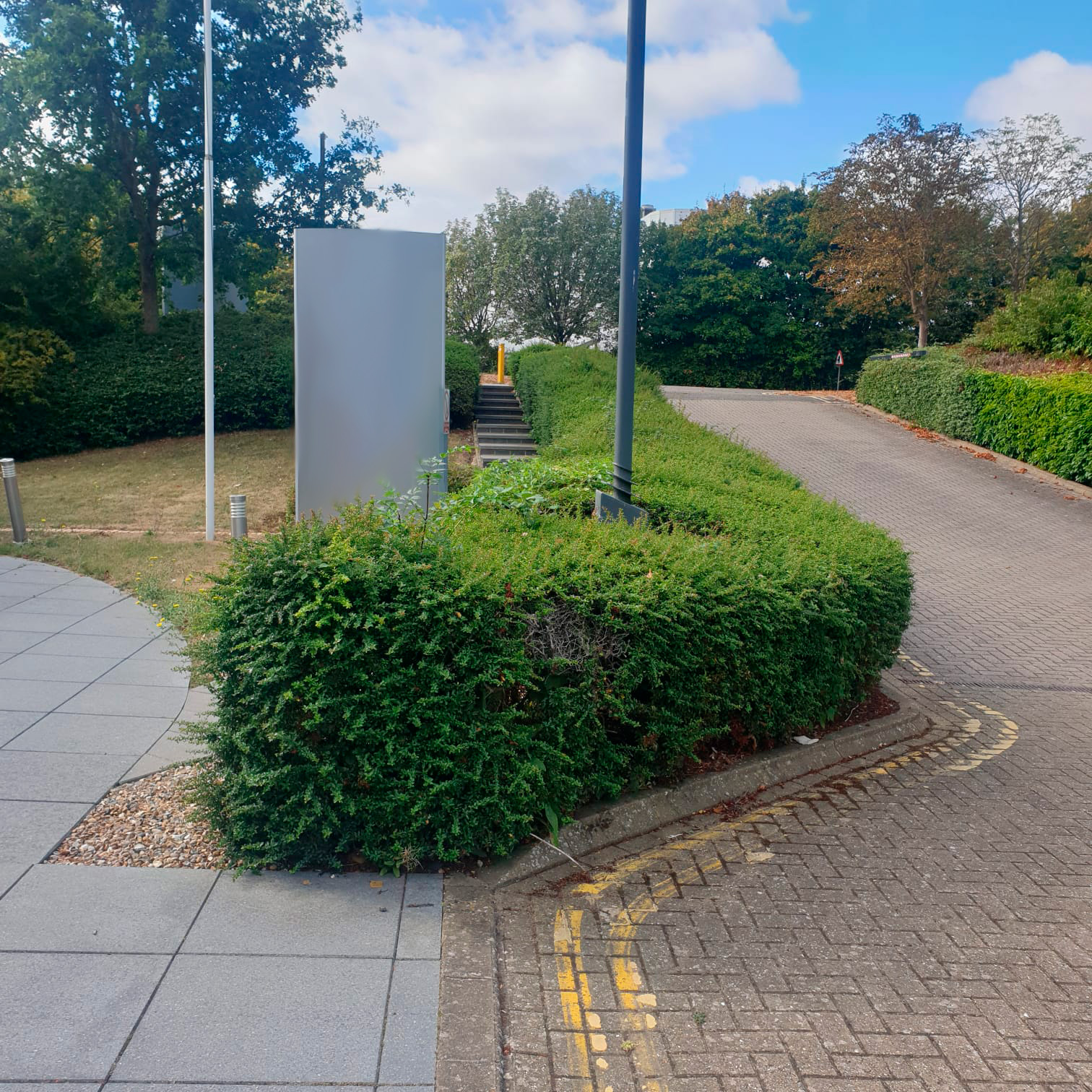 Landscaping For A Commercial Site - Facilities Company