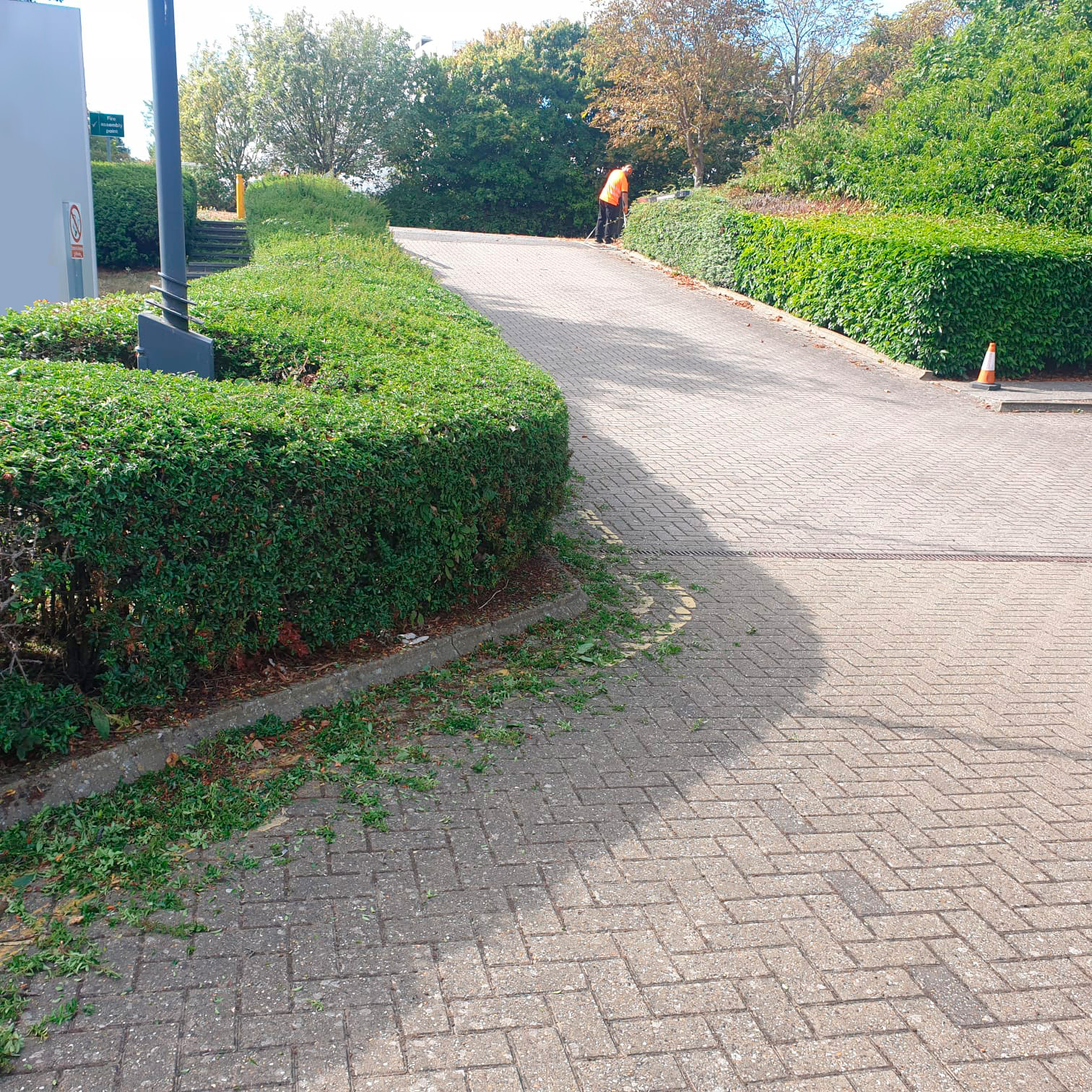 Landscaping For A Commercial Site - Facilities Company